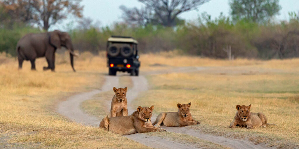 - Wild Spots Safaris